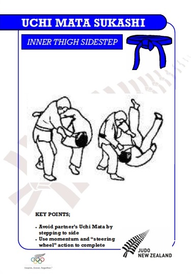 2nd KYU (Blue Belt) Requirements | HOWICK & ST HELIERS JUDO CLUB